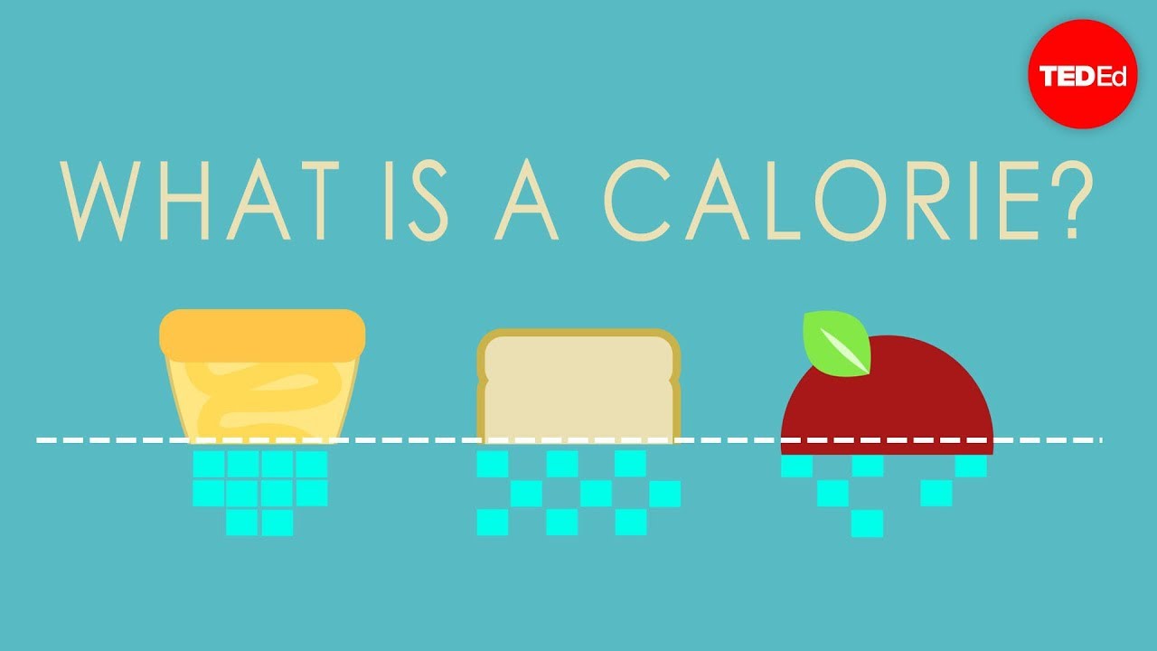what-is-a-calorie-emma-bryce-2022-mr-trucos